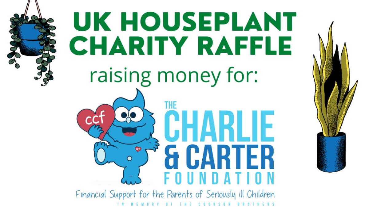 Enter Raffle to Win houseplant charity raffle hosted by Brandon Noonan
