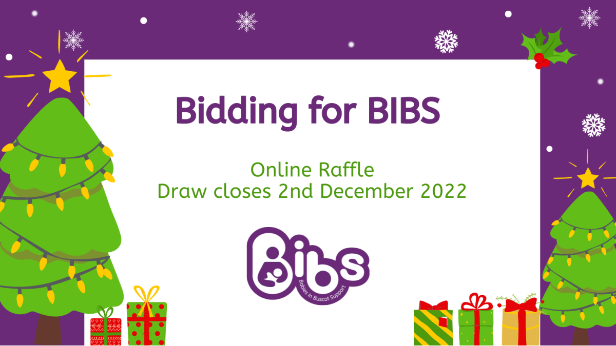 Enter Raffle to Win Bidding for BIBS 2022 hosted by Babies in Buscot ...