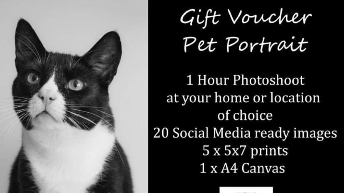 Enter Raffle to Win Pet Photo Session hosted by Cath Sharp