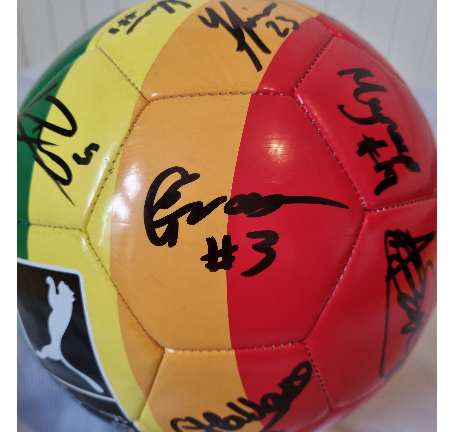 Enter Raffle to Win Win Wales Team Signed Bal hosted by Cardiff Dragons FC