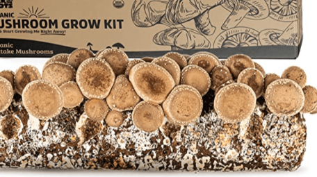 Enter Raffle to Win Gourmet Mushroom Growing hosted by Jack Stevens