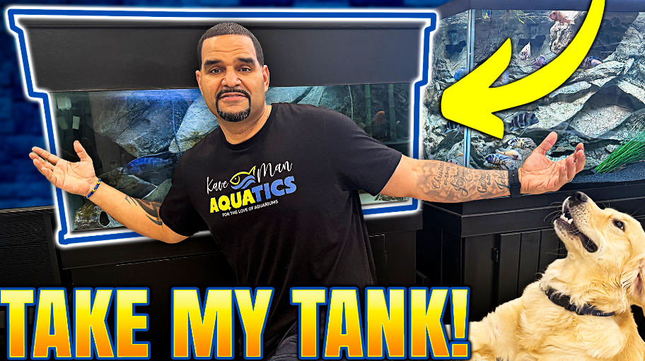 Enter Raffle to Win KaveMan's Original 75G Tank hosted by Kevin Matos
