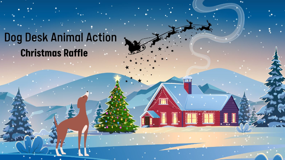 Enter Raffle to Win Dog Desk Animal Action Christmas Raffle For Strays ...