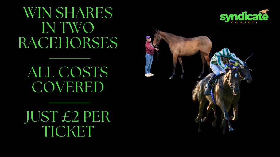 Enter Raffle to Win SHARES IN 2 RACEHORSES, WITH ALL COSTS COVERED ...
