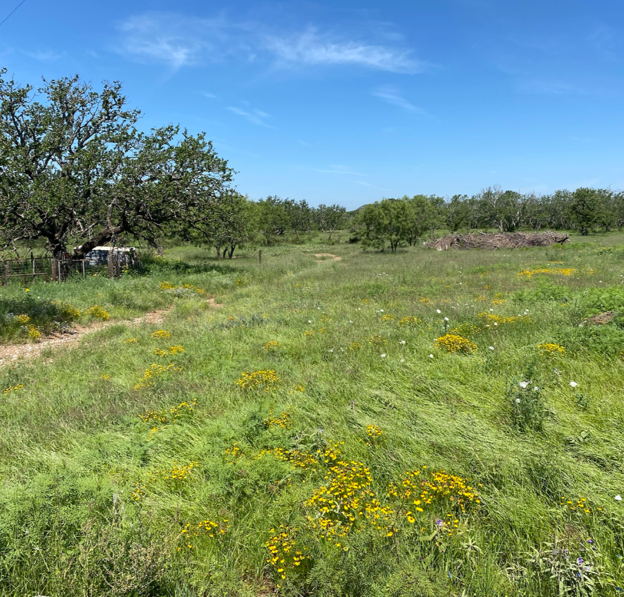 Enter Raffle to Win 76 Acres of Texas Hill Country Land hosted by Hot ...