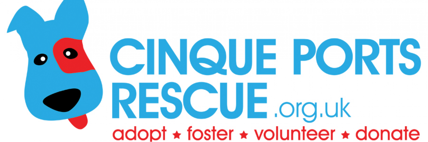 Bev Nicholson (@cinqueportsrescue_bev) • Raffall