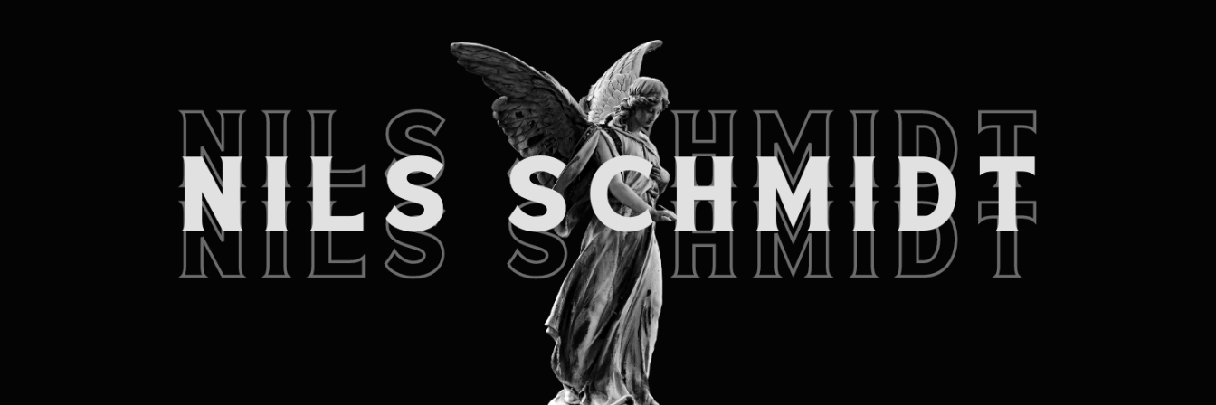 Nils Schmidt (@nils_smt) • Raffall