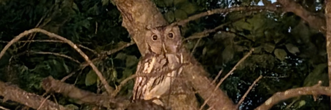 Christopher Cahalan (@cwcahalan) • Raffall